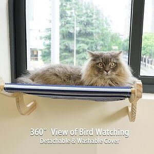 CA&T | Cat | Cat Window Perch Window Sill Cat Hammock Indoor Cat Window ...